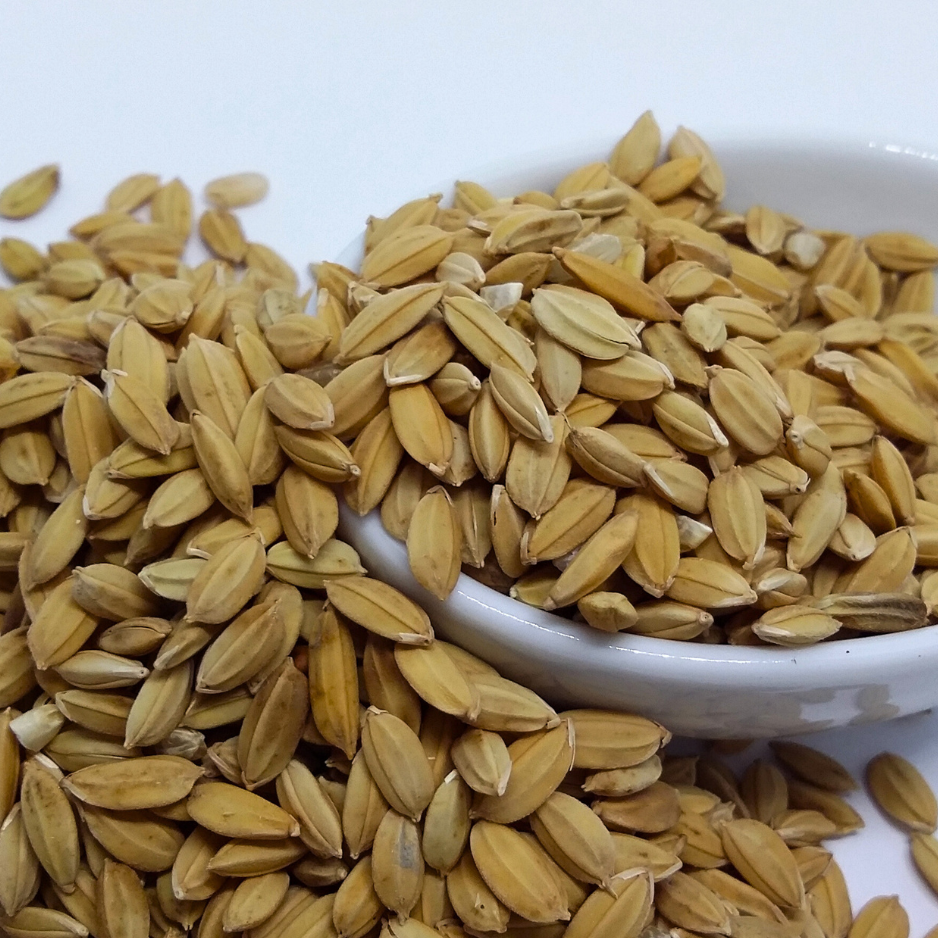 Riz paddy non traité (Promotion -30 %) – Aquazolla
